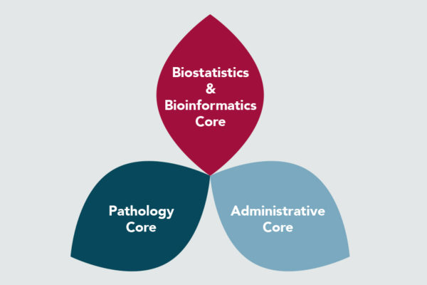 Wisconsin Head and Neck Cancer SPORE – A collaborative cancer research ...